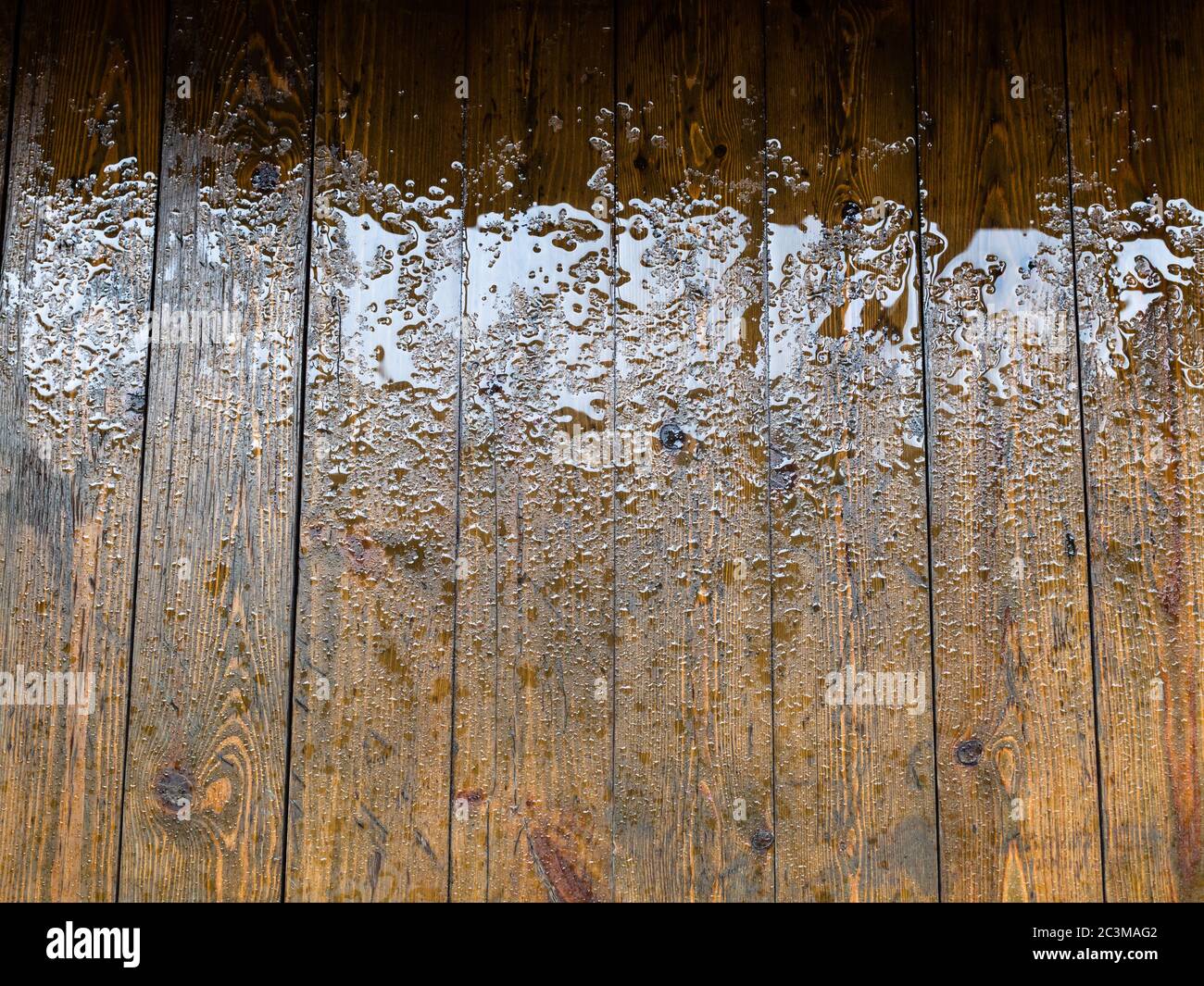 indoor wet wooden floor from varnished spruce floorboard after rain ...