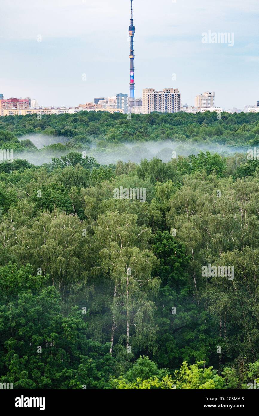 green trees of city park with evening fog and residential district in ...