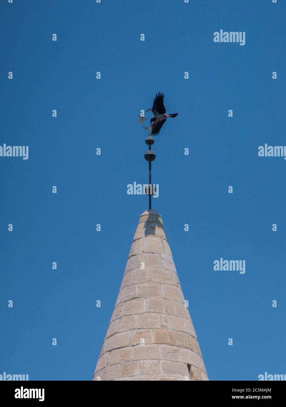 Raven crescent hi-res stock photography and images - Alamy