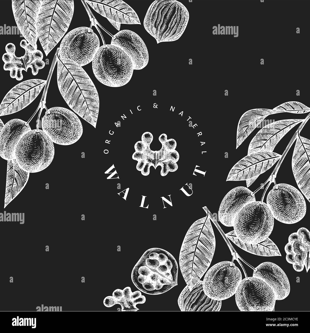 Hand drawn sketch walnut design template. Organic food vector ...