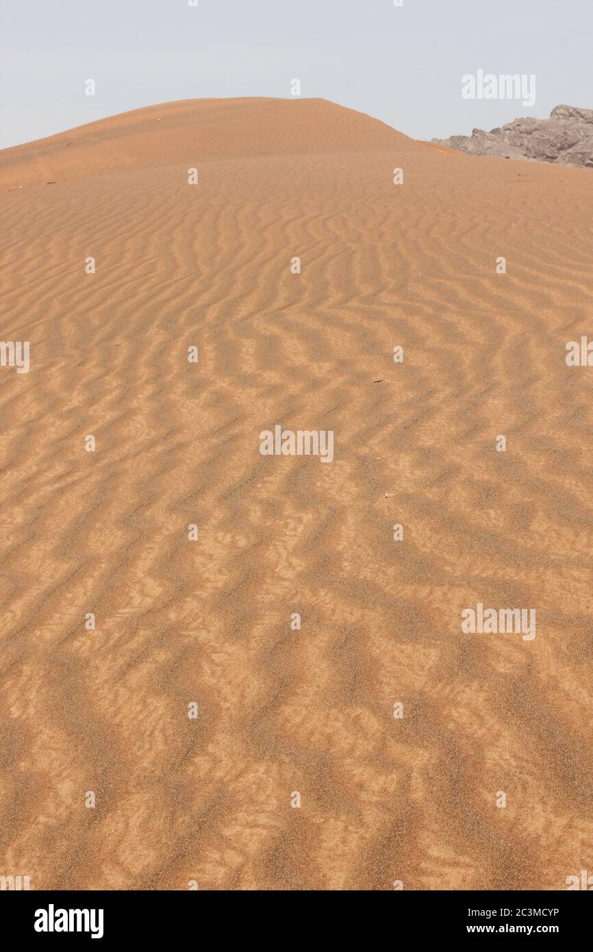 Beautiful sand ripples in Arabian desert sand dunes. Wind action ...
