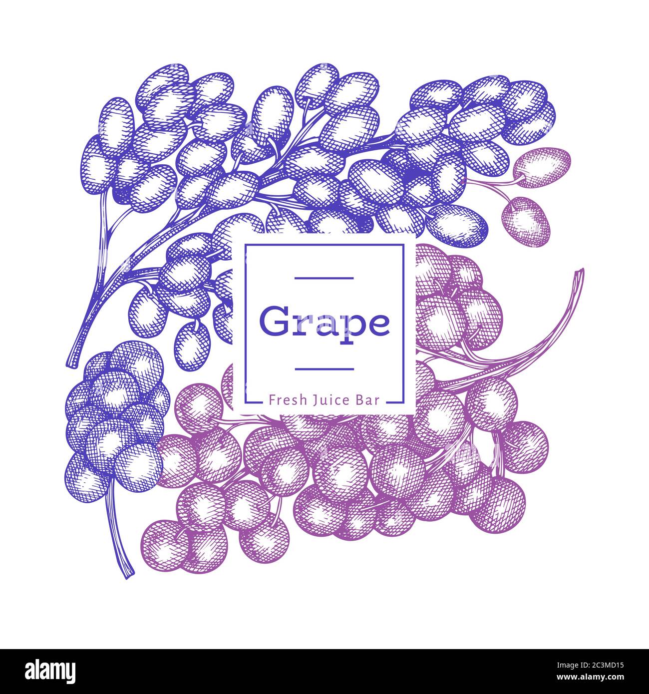 Grape design template. Hand drawn vector grape berry illustration ...