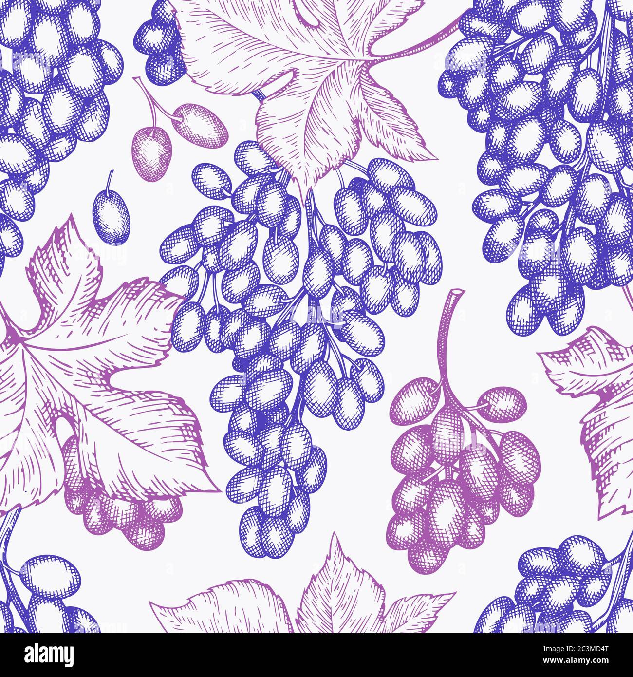 Grape design template. Hand drawn vector grape berry illustration ...