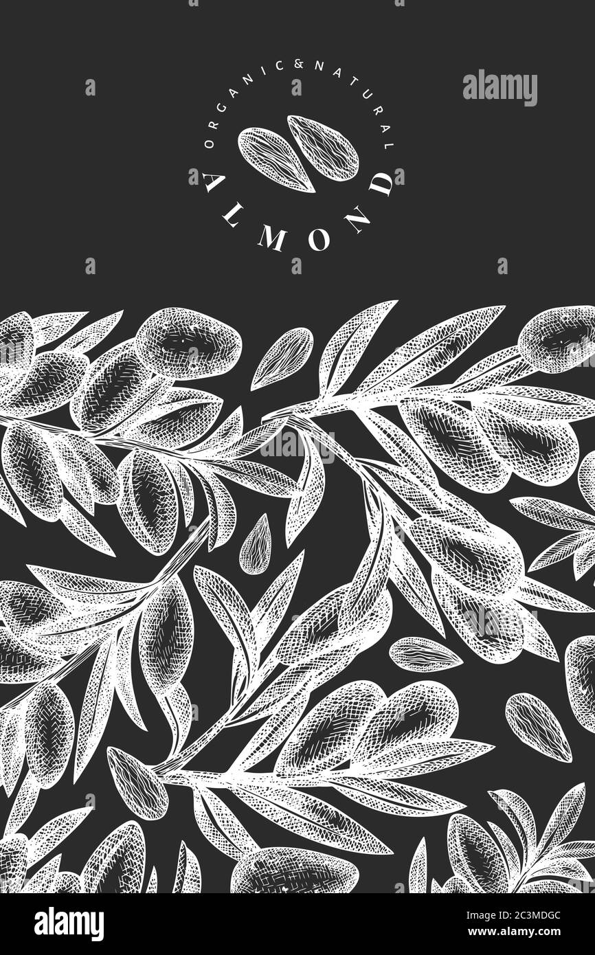 Hand drawn sketch almond design template. Organic food vector ...