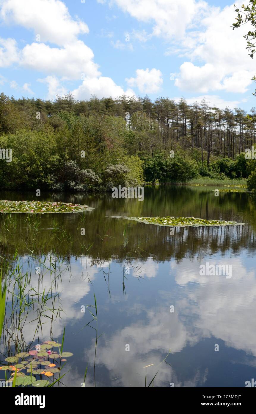 Pembrey country park hi-res stock photography and images - Alamy