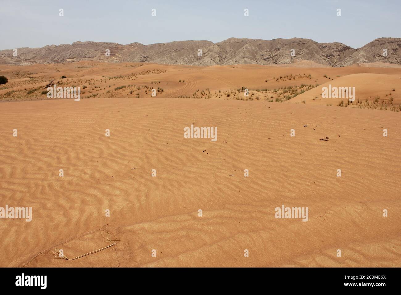 Beautiful sand ripples in Arabian desert sand dunes. Wind action ...