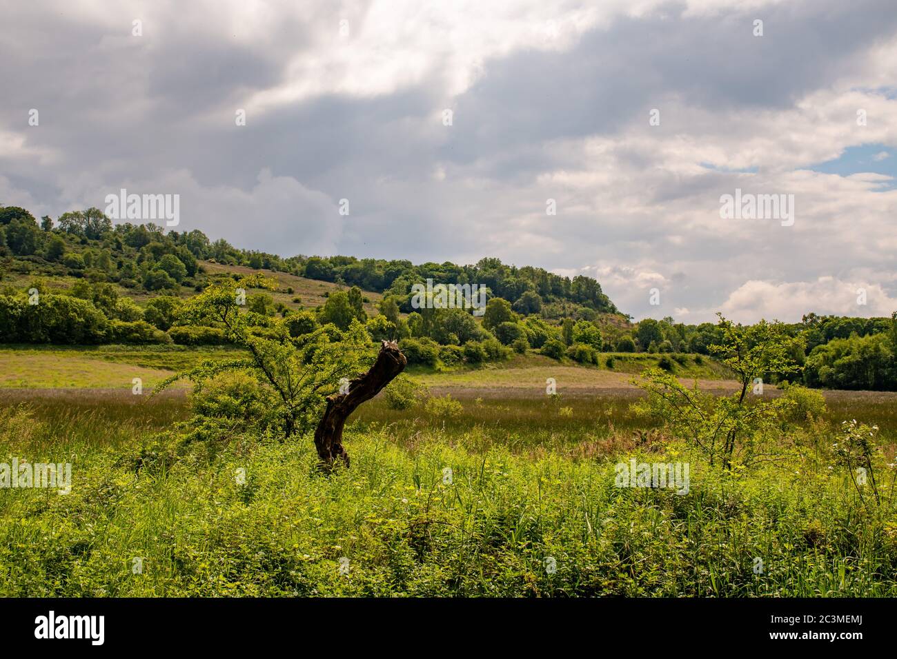 Dumbreck marsh hi-res stock photography and images - Alamy