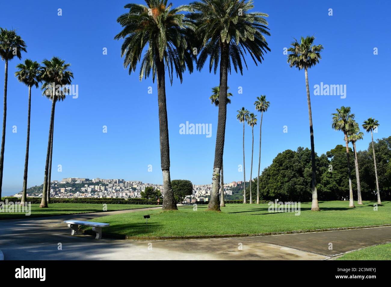 The Capodimonte museum in Naples, Italy Stock Photo - Alamy