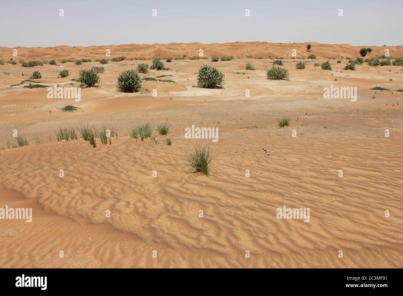 Beautiful sand ripples in Arabian desert sand dunes. Wind action ...