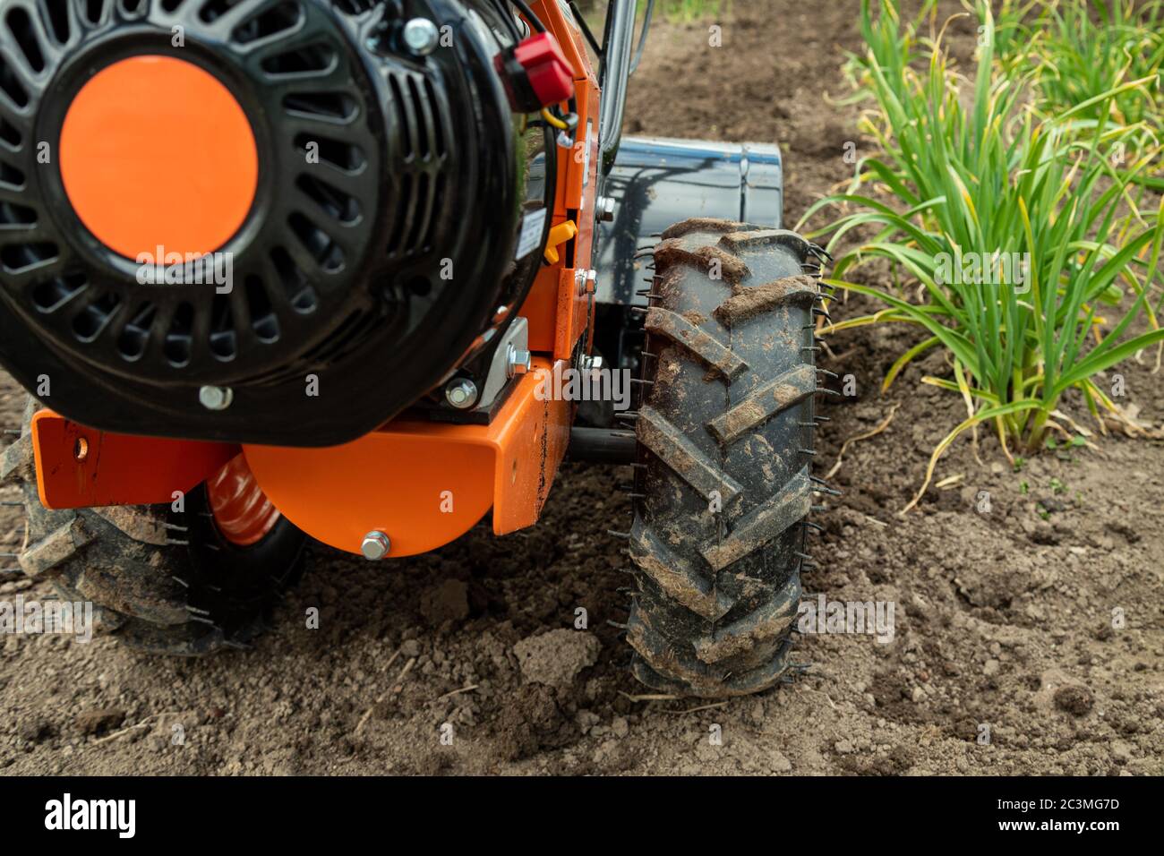 Worker plower earth by motorblock in a spring time Stock Photo - Alamy