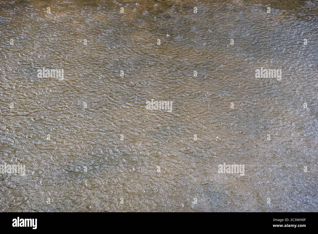 Surface of pond in a rainy time Stock Photo - Alamy