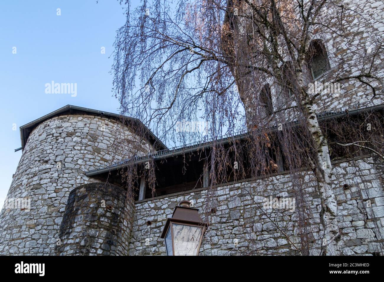 Low angle view at a tower and tree of Stolberg castle in Stolberg ...