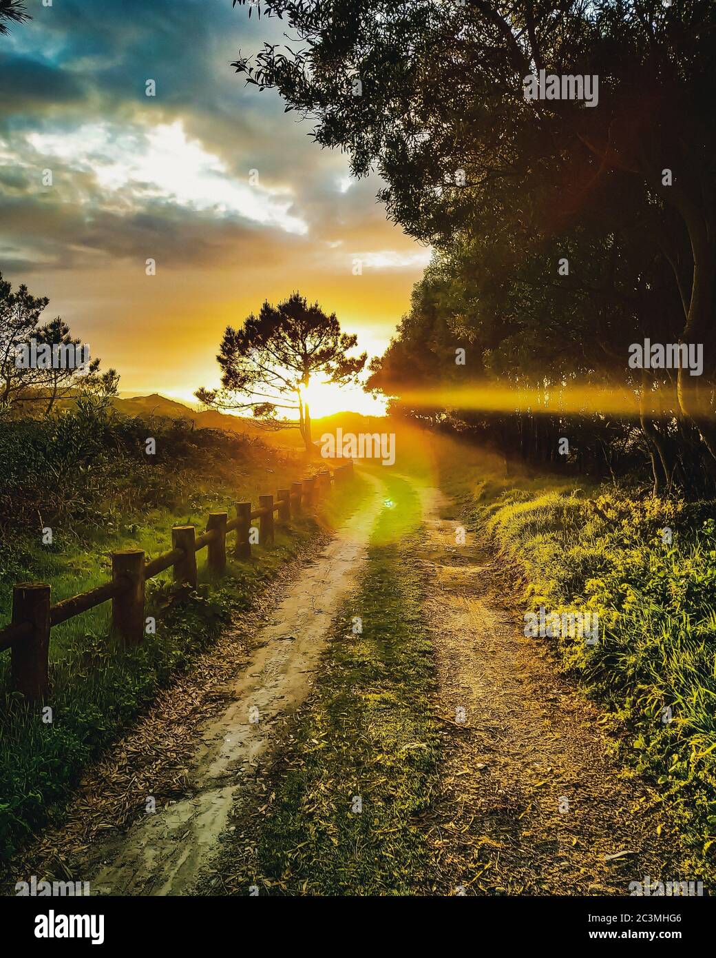 Mesmerizing scenery of a sunset over road in fields Stock Photo - Alamy