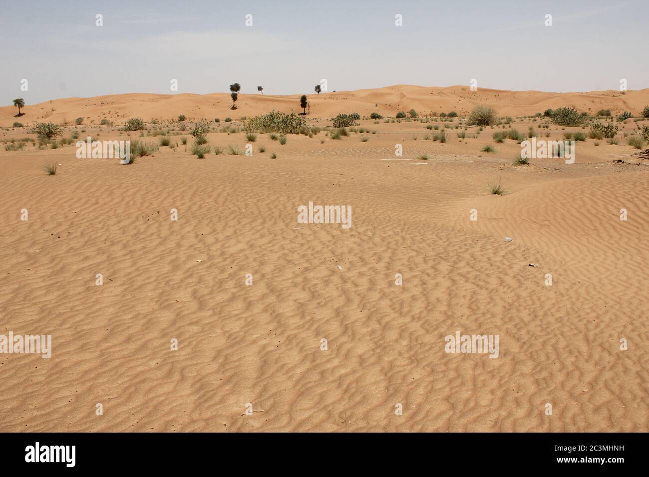 Beautiful sand ripples in Arabian desert sand dunes. Wind action ...
