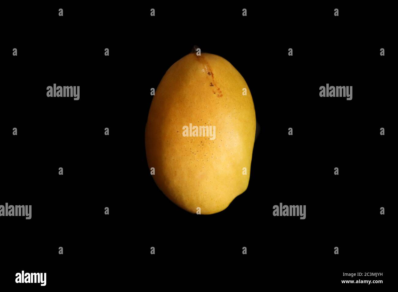 Mango. Alphonso tropical mango top view isolated against a black ...