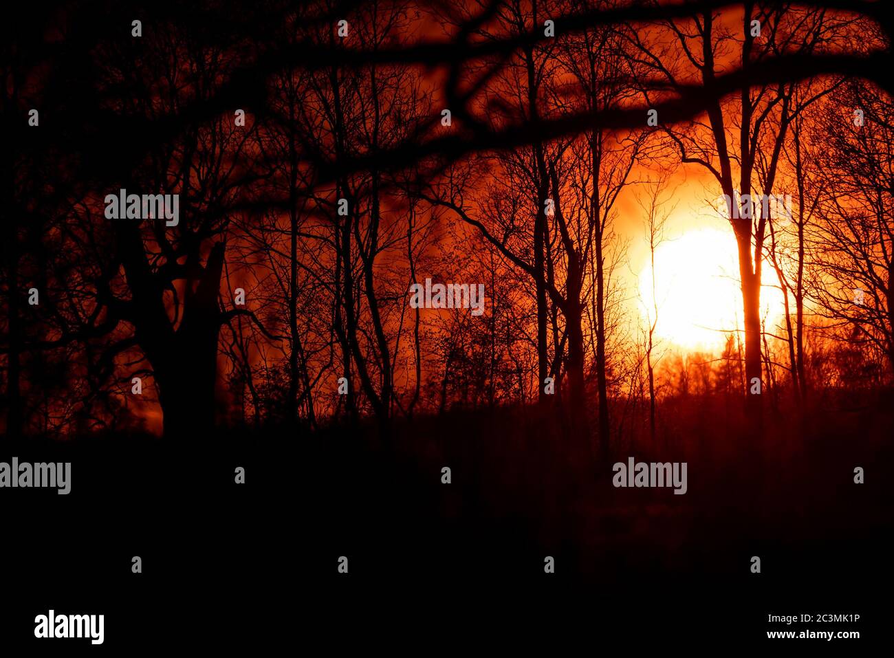 Tree silhouettes on red sky background in sundown time Stock Photo - Alamy