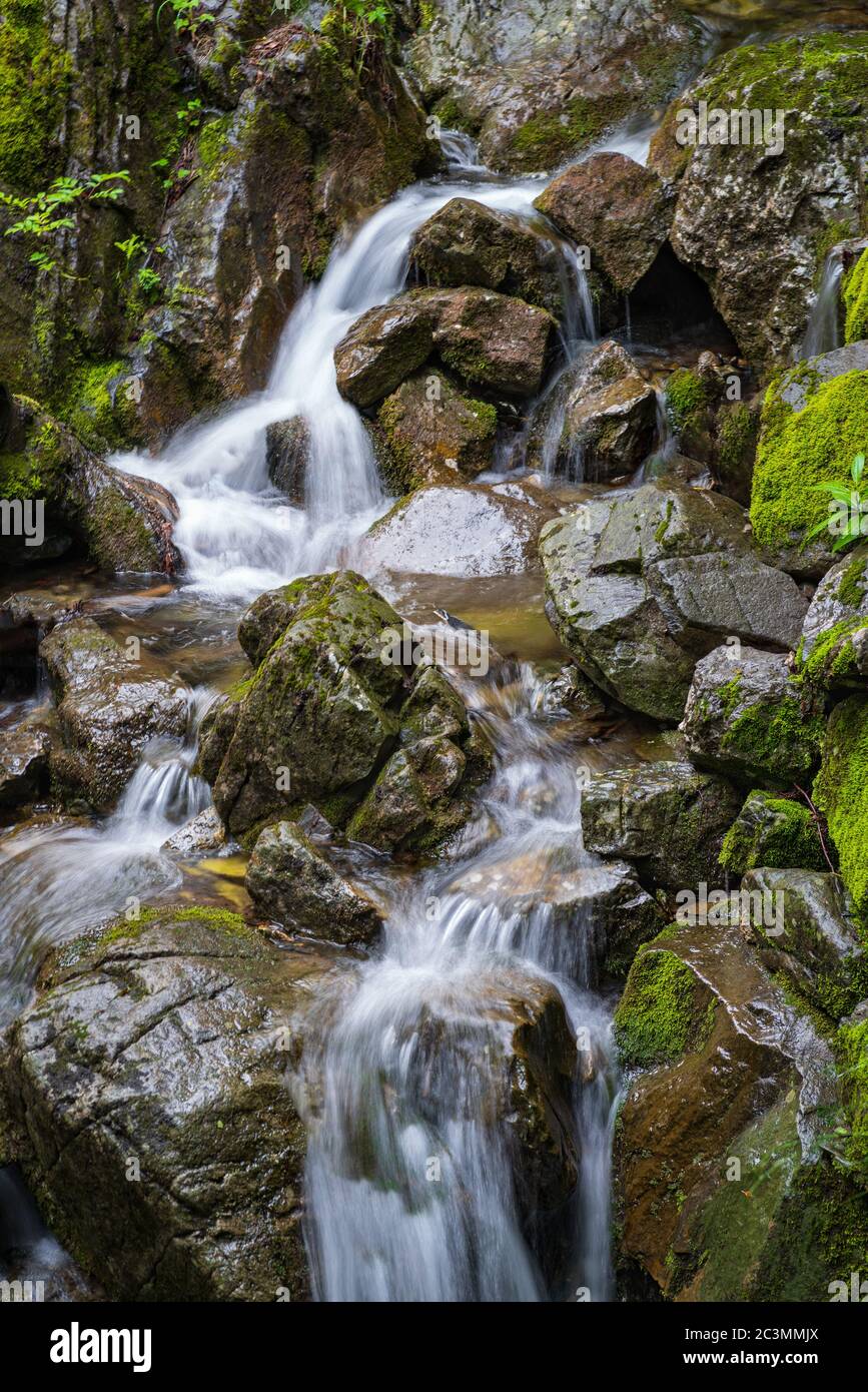 Stream cascading over stones hi-res stock photography and images - Alamy
