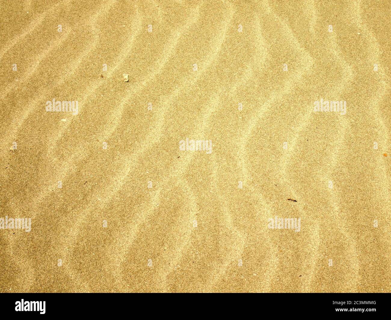 Wind marks in the sand on a beach by the sea Stock Photo - Alamy