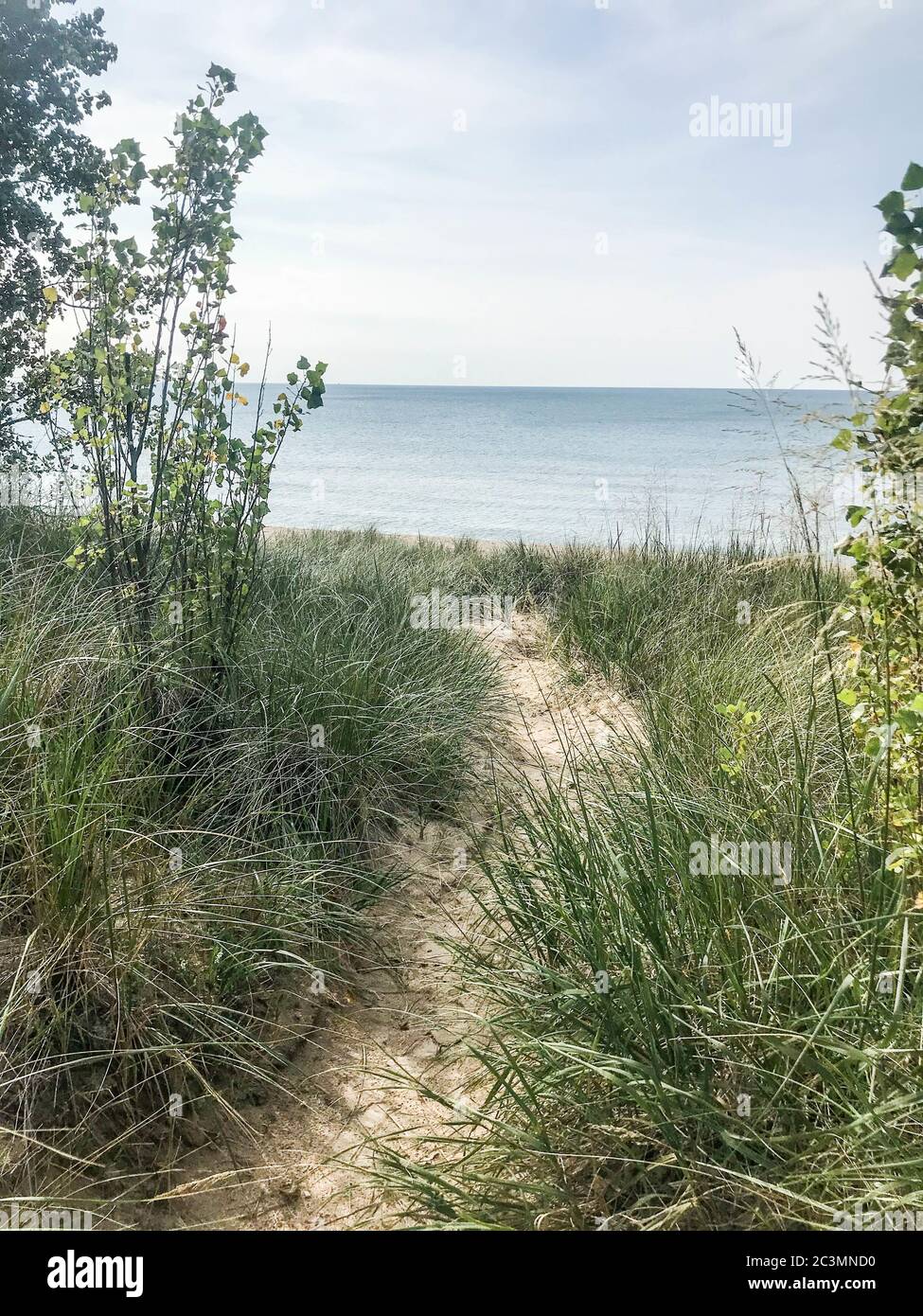 Oval Beach in Saugatuck Stock Photo - Alamy