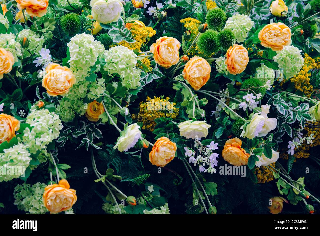Amber colored roses hi-res stock photography and images - Alamy