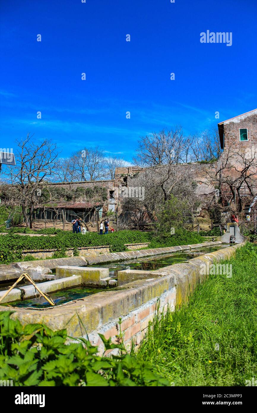 a farm with a watering hole for animals, inside the Caffarella park ...