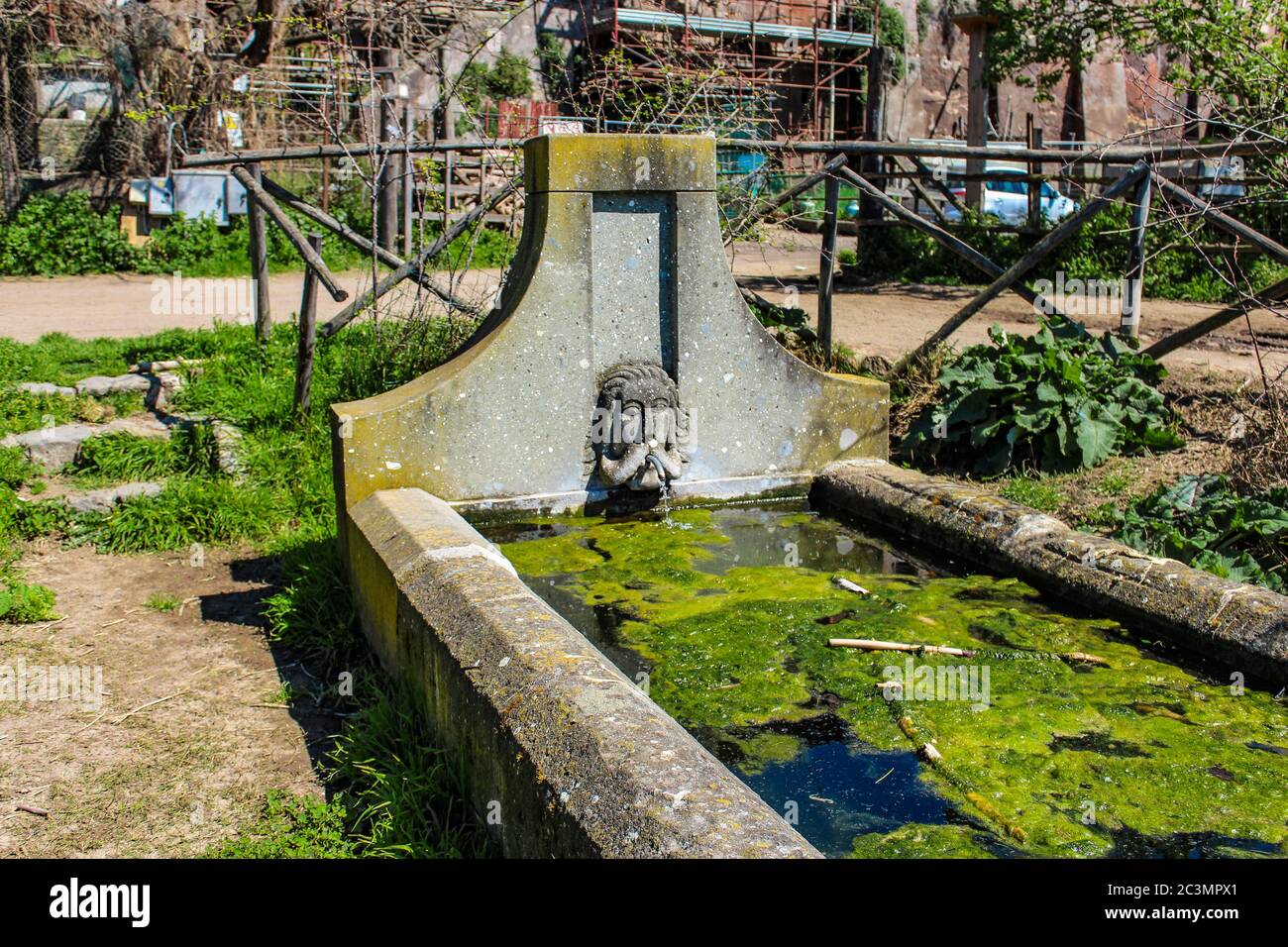 a farm with a watering hole for animals, inside the Caffarella park ...