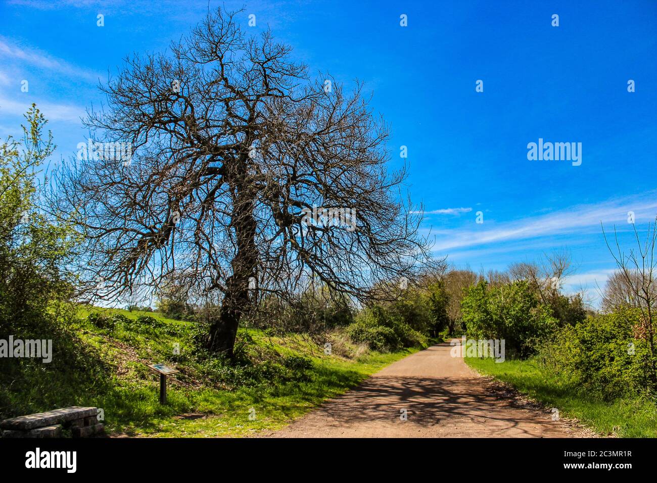 The Caffarella park in the city of Rome, Appia Antica, Almone river ...
