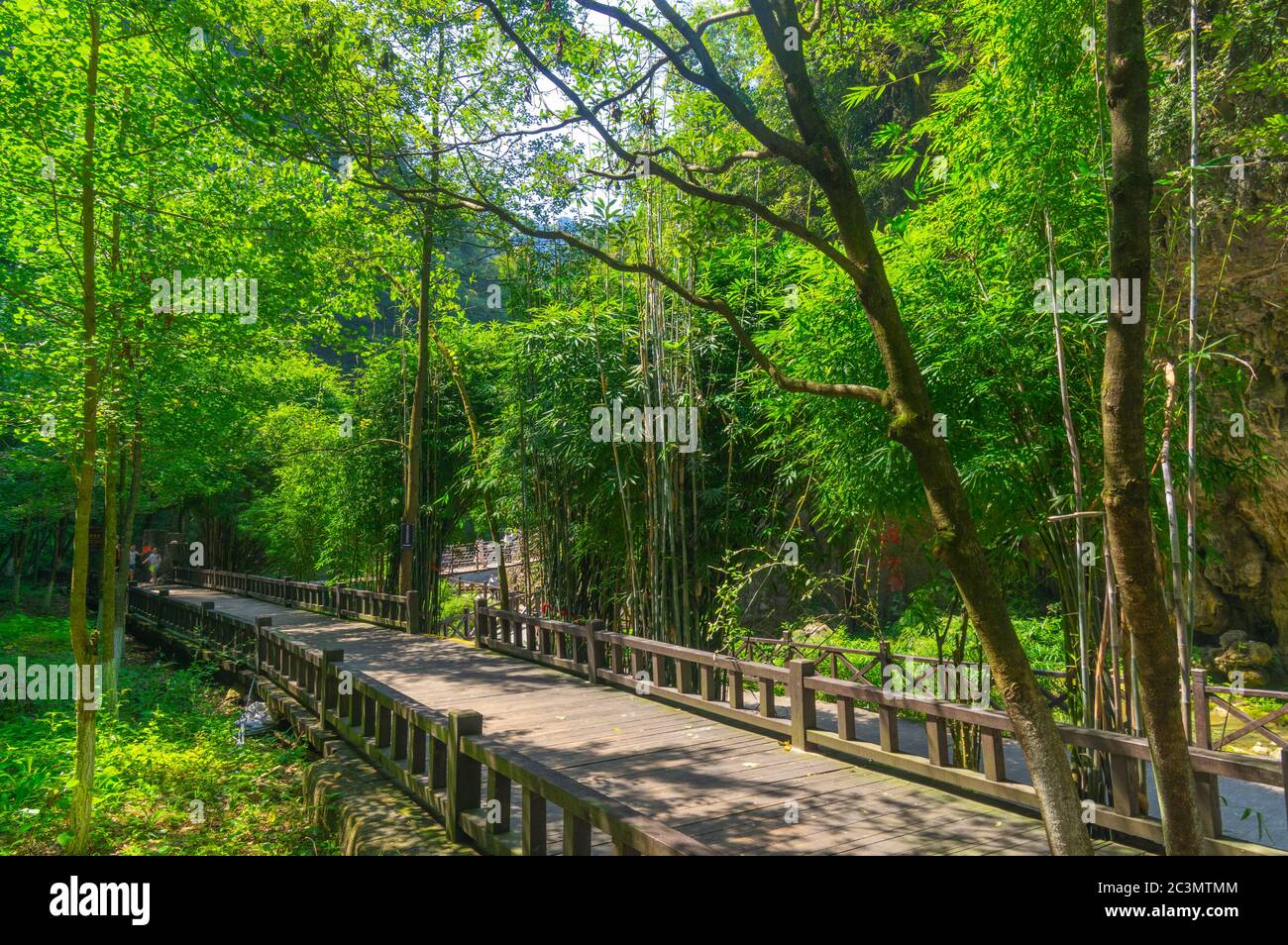 Summer scenery of the Three Gorges Waterfall in Yichang, Hubei, China ...