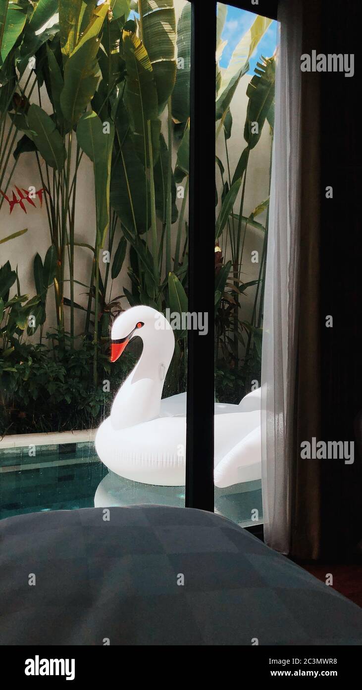 Inflatable swan on beach hi-res stock photography and images - Alamy