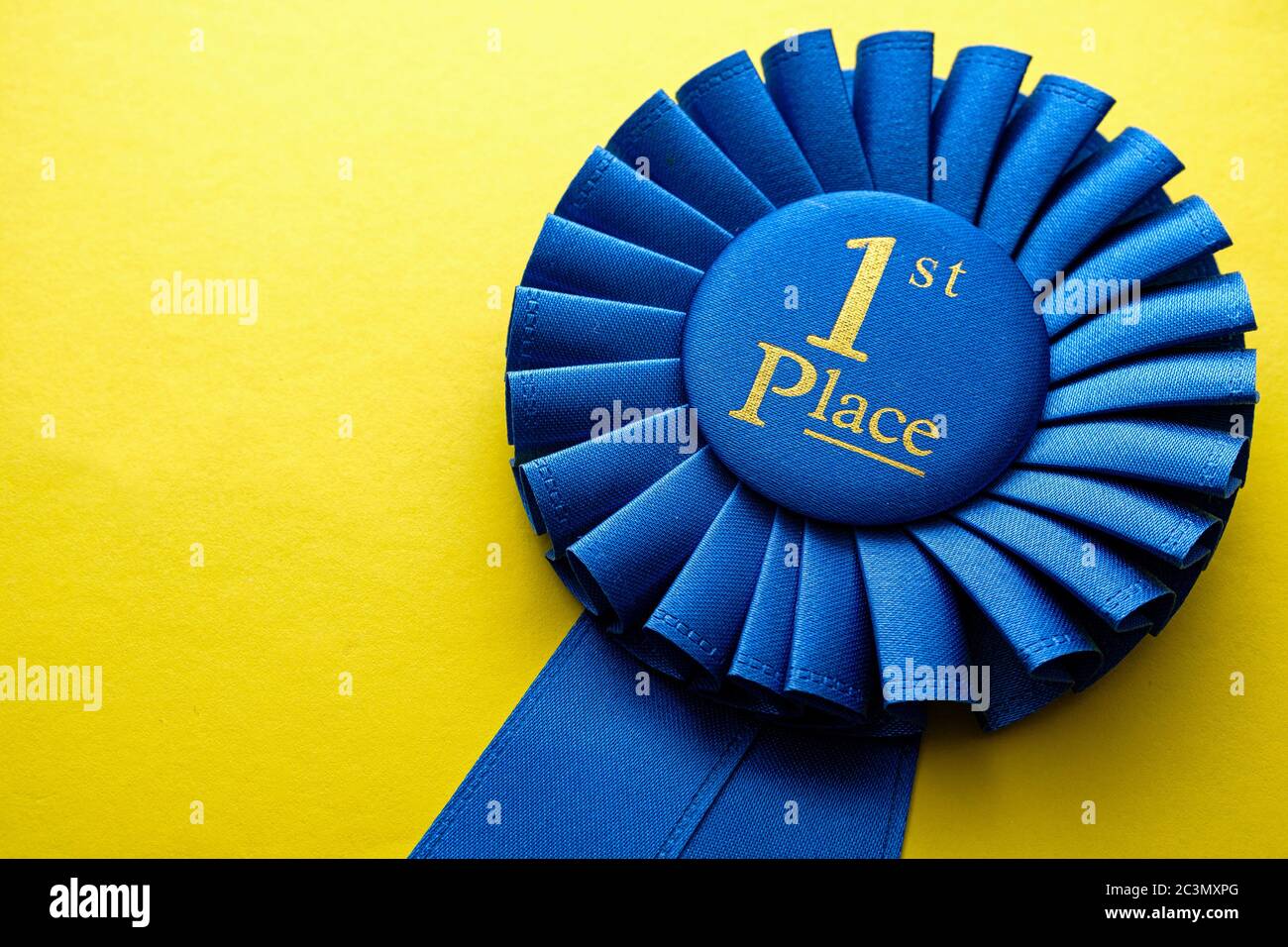 First place winners rosette with blue ribbon and gold text on a yellow ...