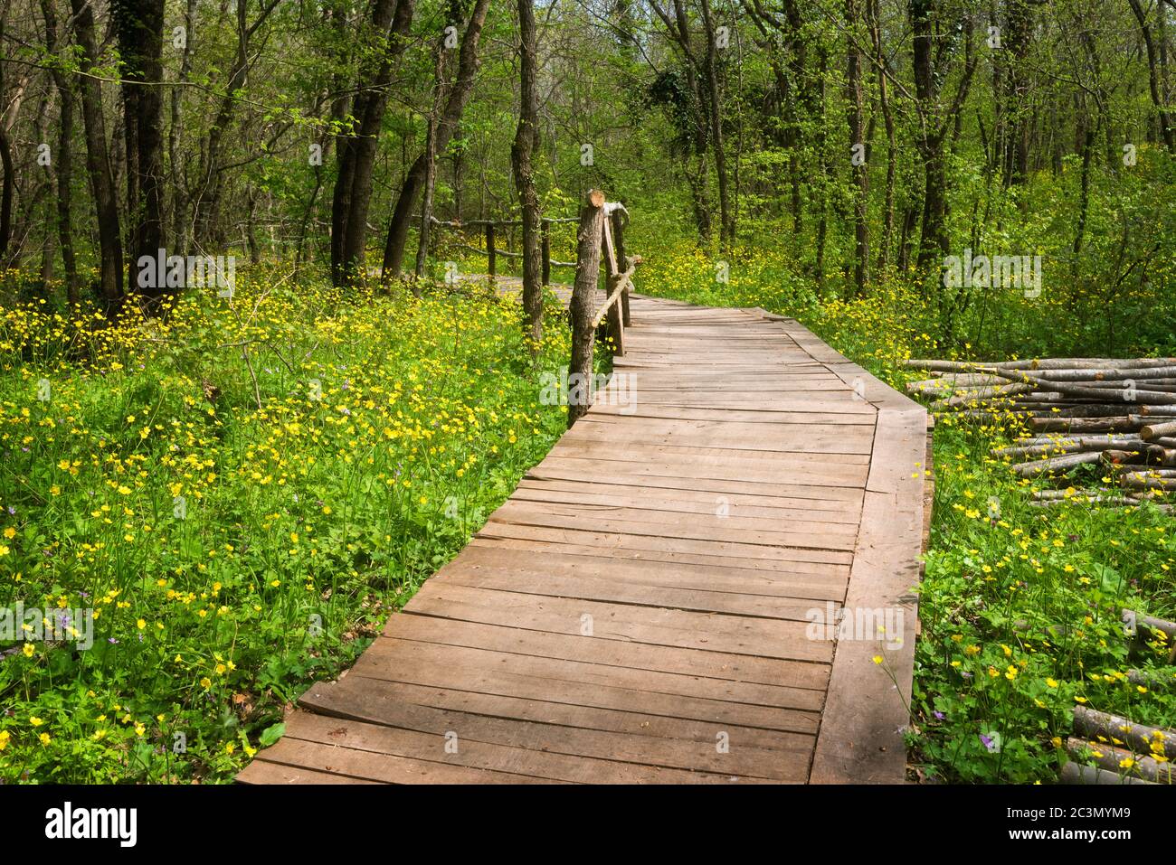 National Park Ropotamo Bulgaria. Wooden bridge leads to the Ropotamo ...