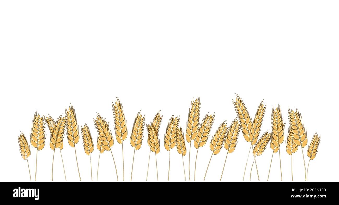 Barley Grain Clipart