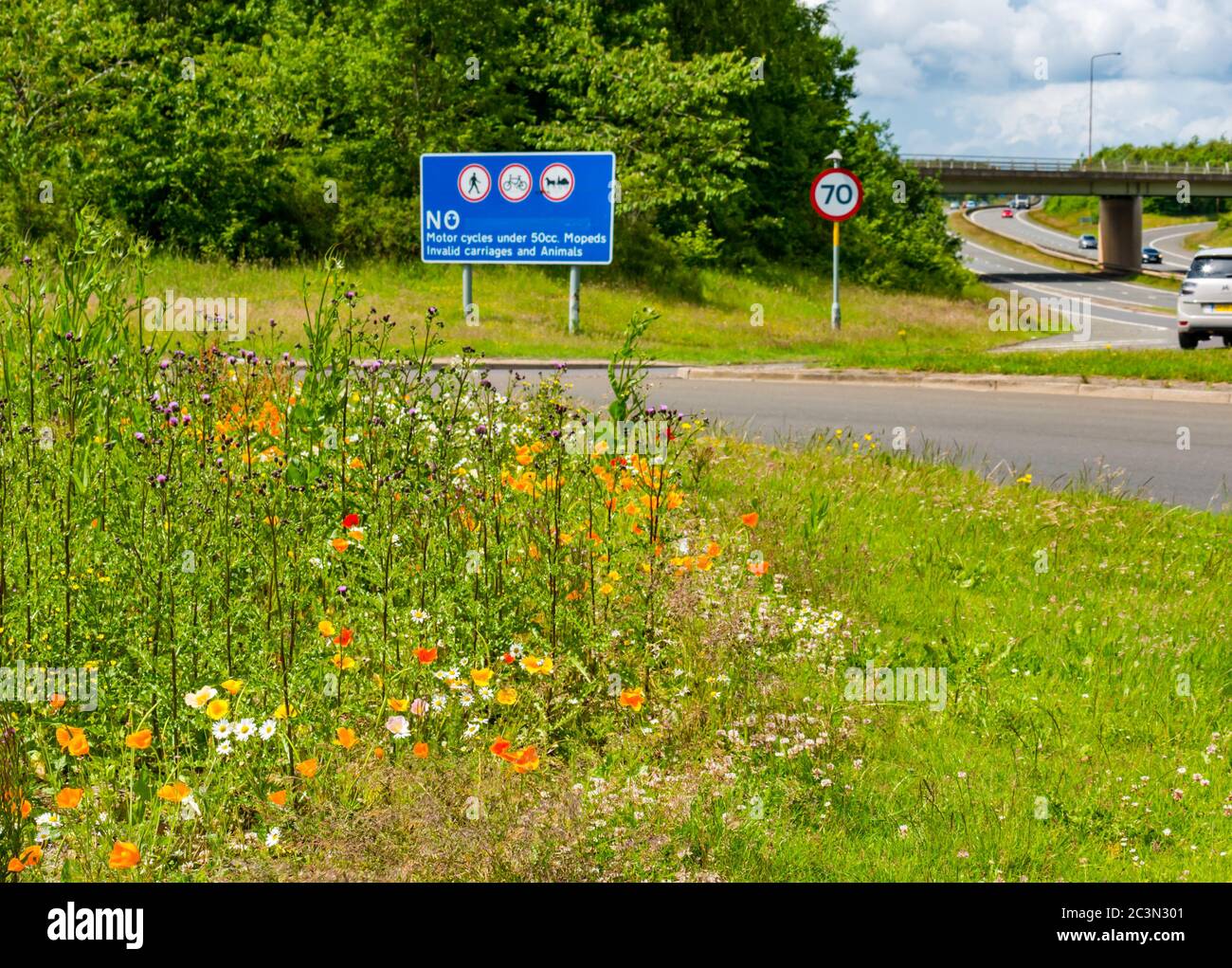 Roundabout road wildflowers hi-res stock photography and images - Alamy