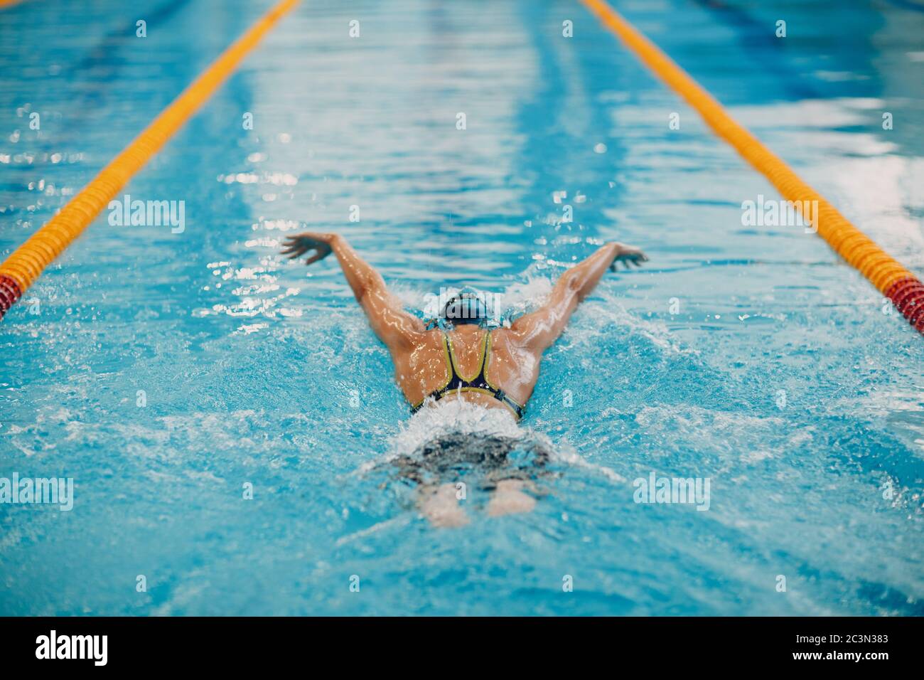 Young woman swimmer swims in swimming pool. Back view Stock Photo - Alamy