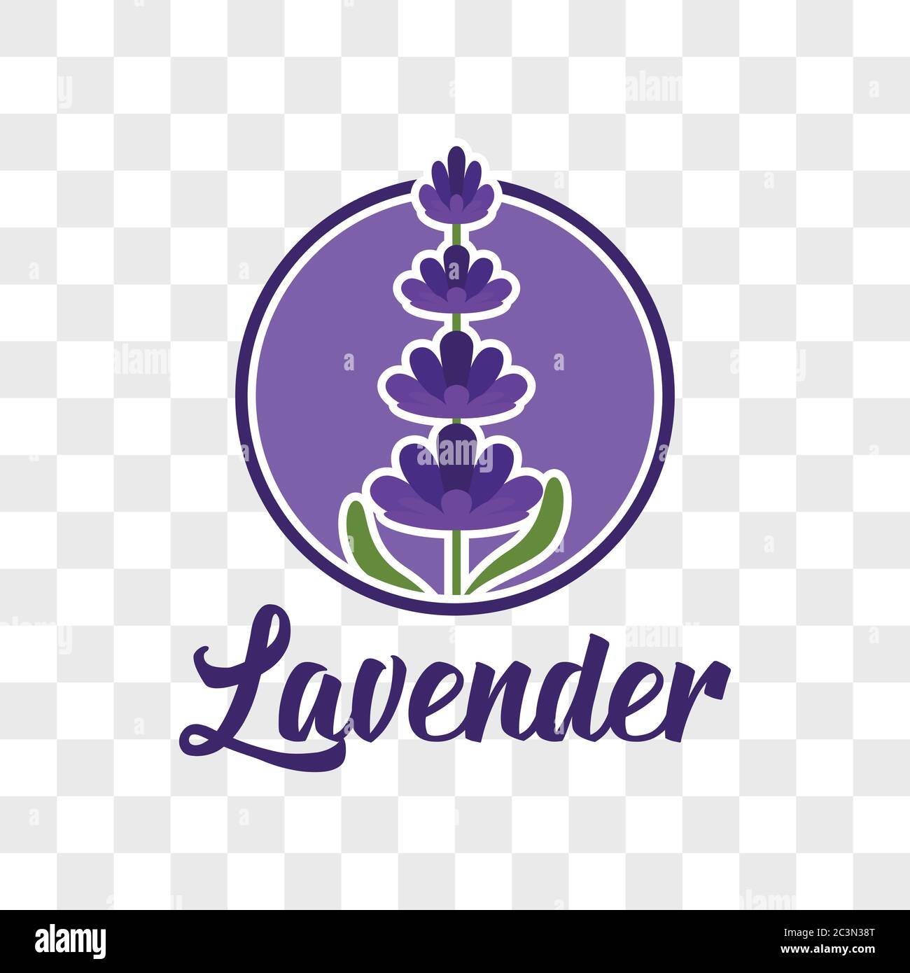 lavender flower on transparent background. vector illustration Stock ...