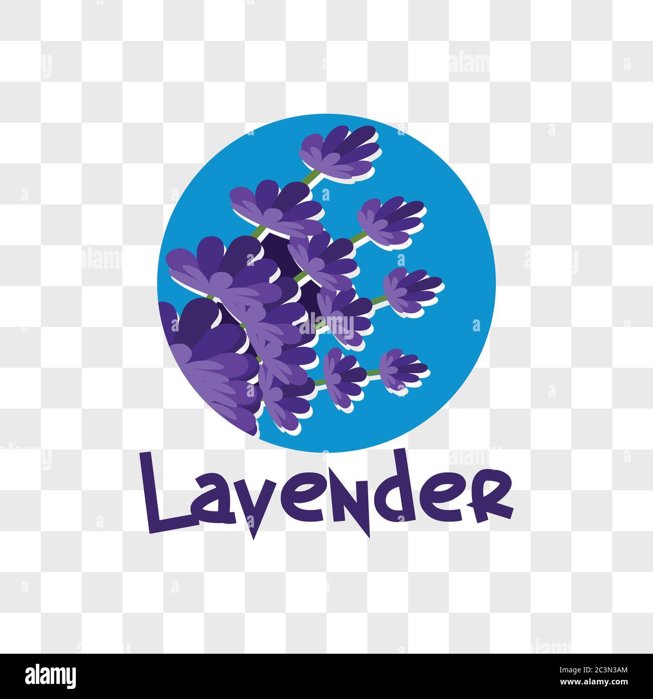 lavender flower on transparent background. vector illustration Stock ...