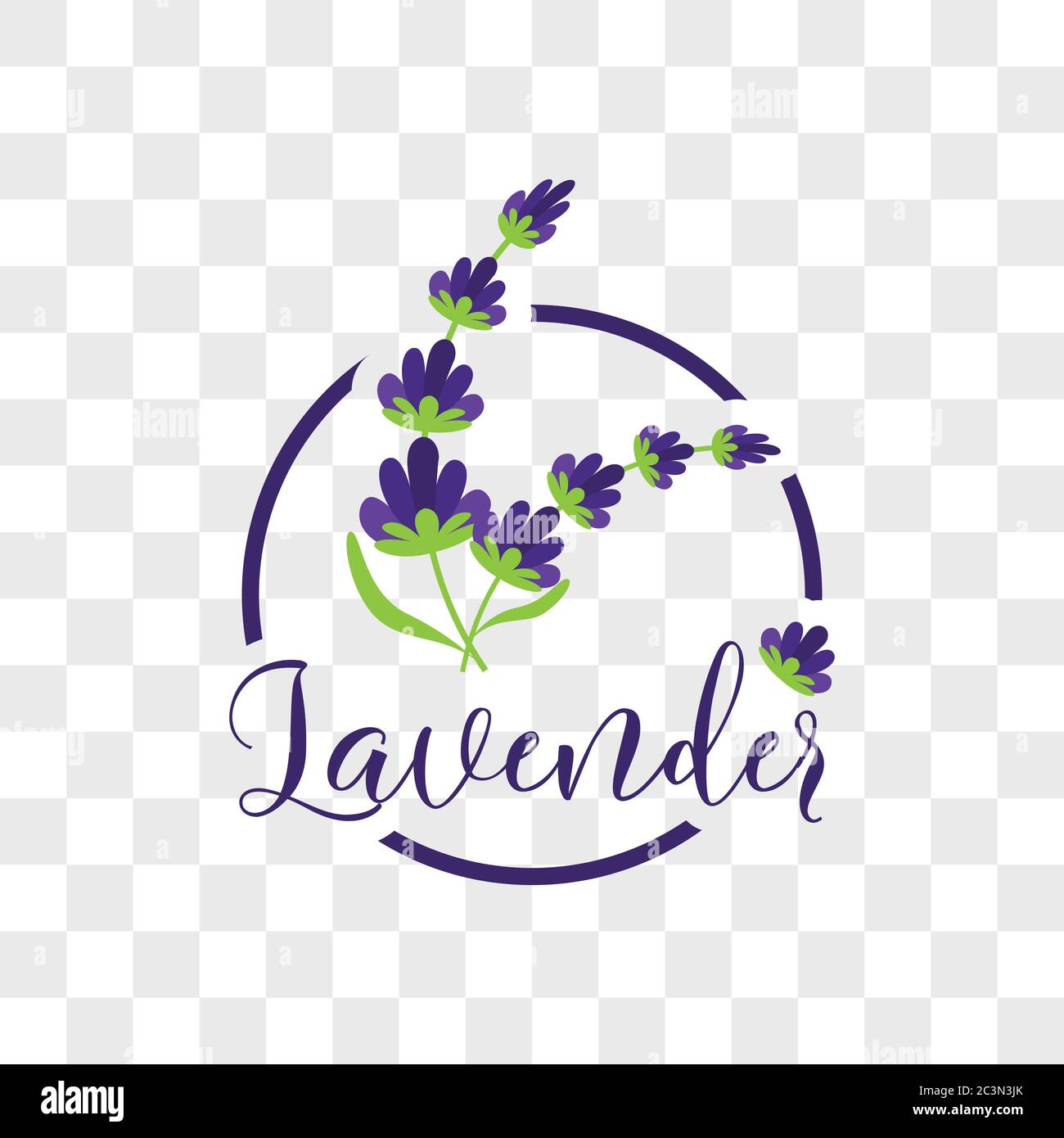 lavender flower on transparent background. vector illustration Stock ...