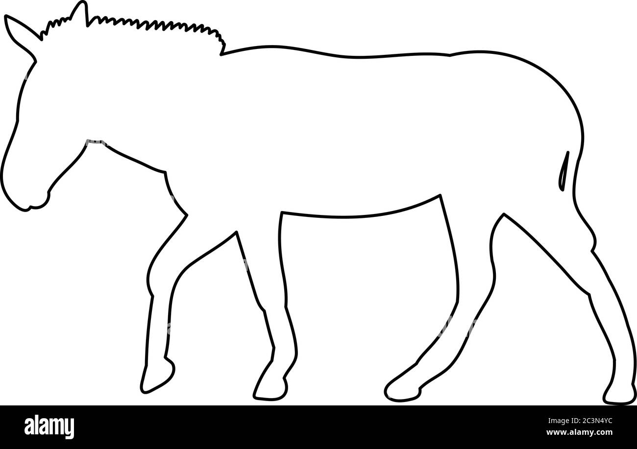 isolated contour of donkeys, sketch, is Stock Vector Image & Art - Alamy