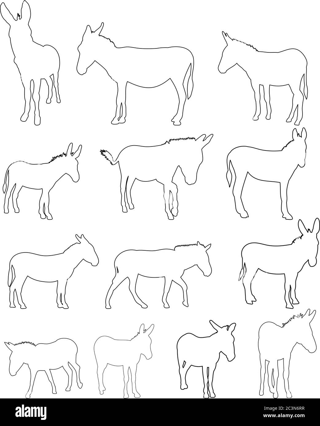 vector, isolated contour of donkeys, sketch, set Stock Vector Image ...