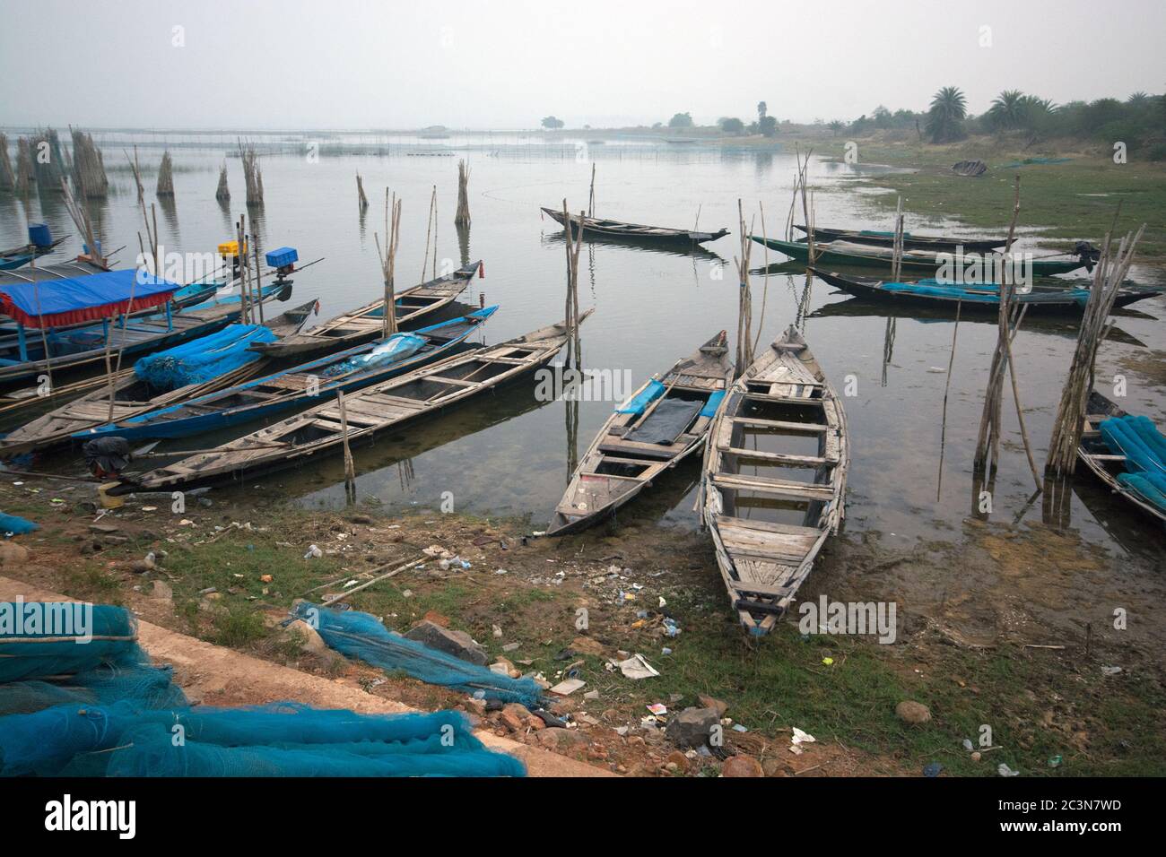 Odisha wildlife hi-res stock photography and images - Alamy