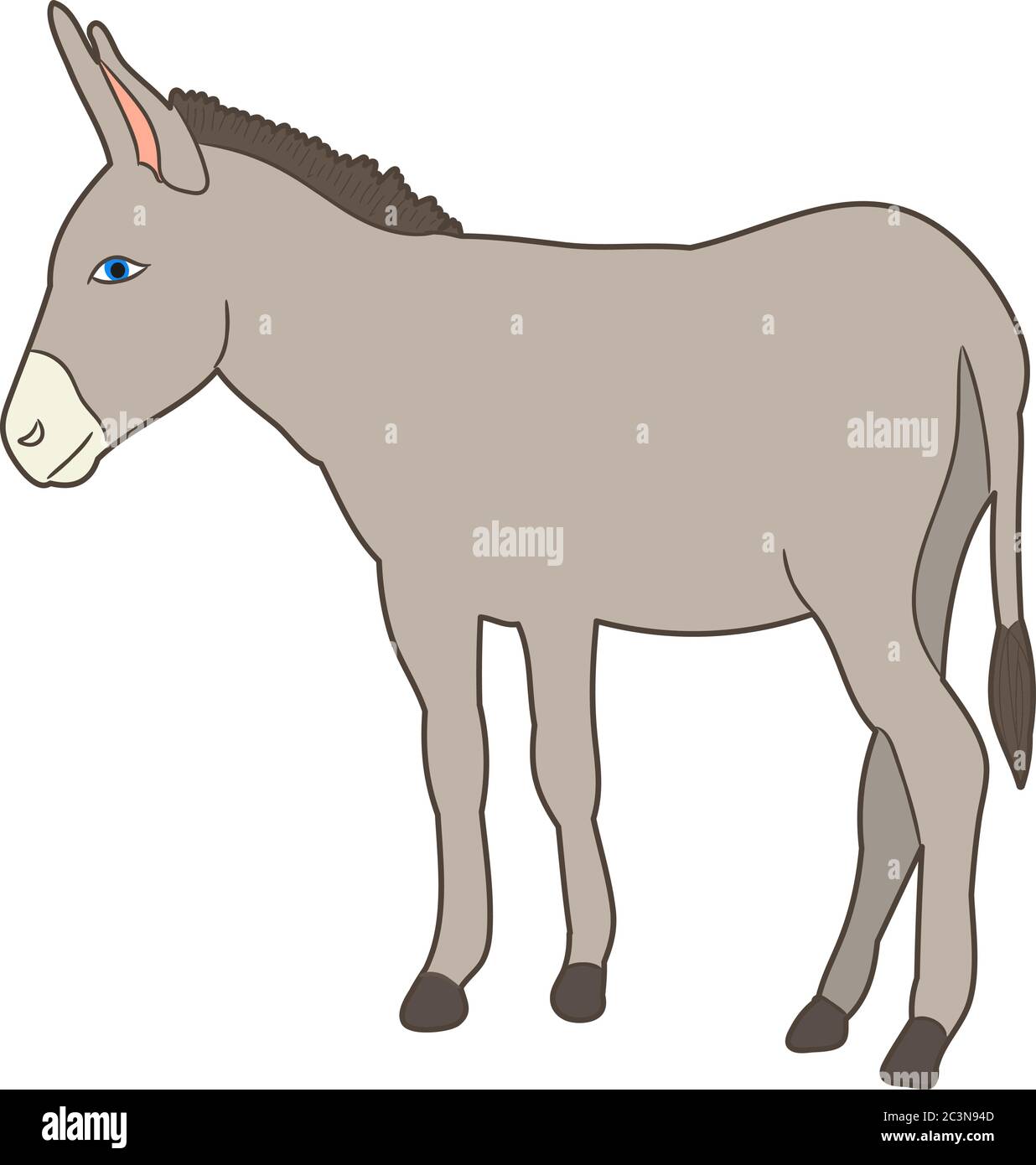 vector, isolated donkey standing in front of white background Stock ...