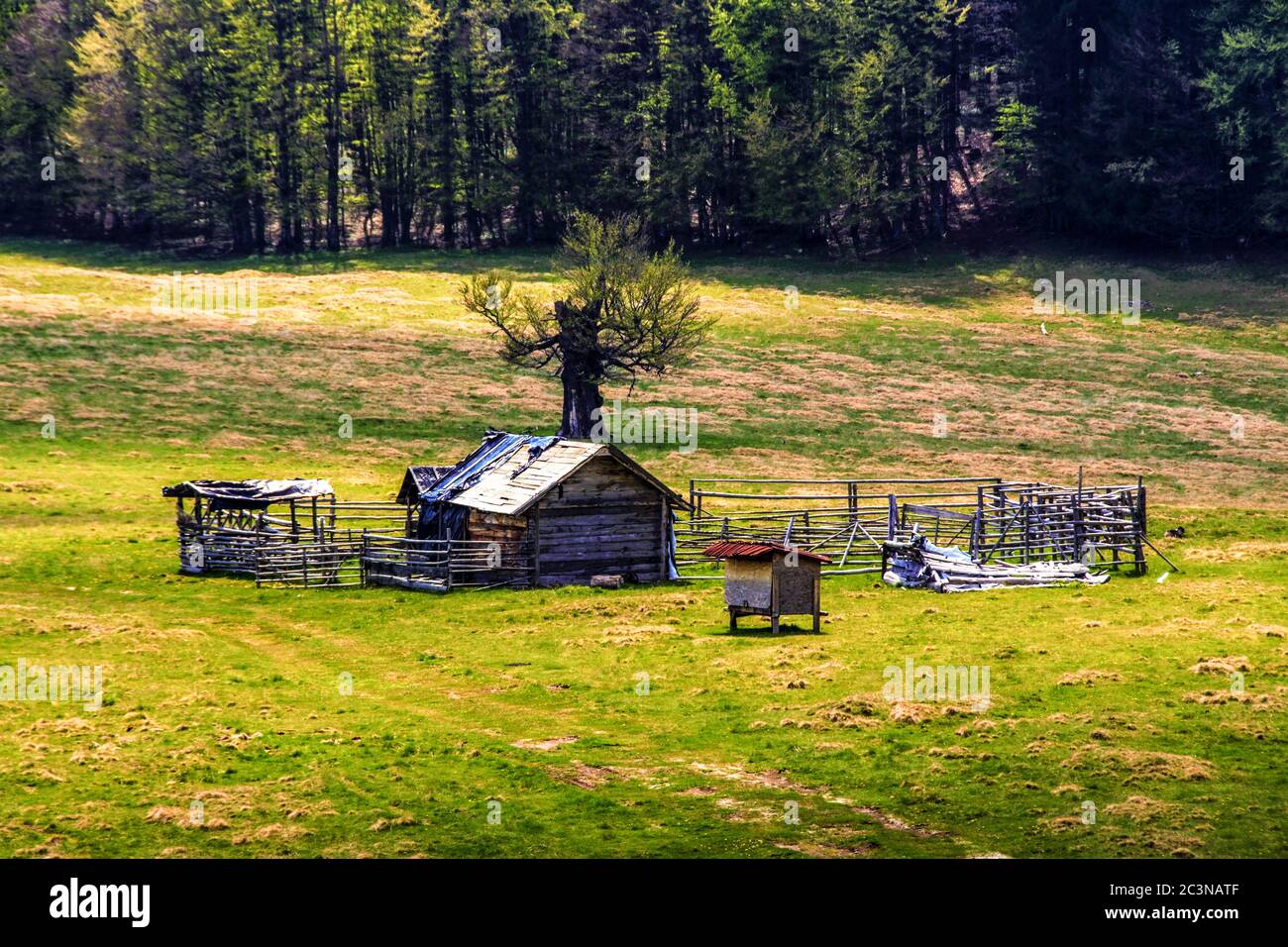 Wooden cottage in a preserved area in the middle of a grass-covered ...