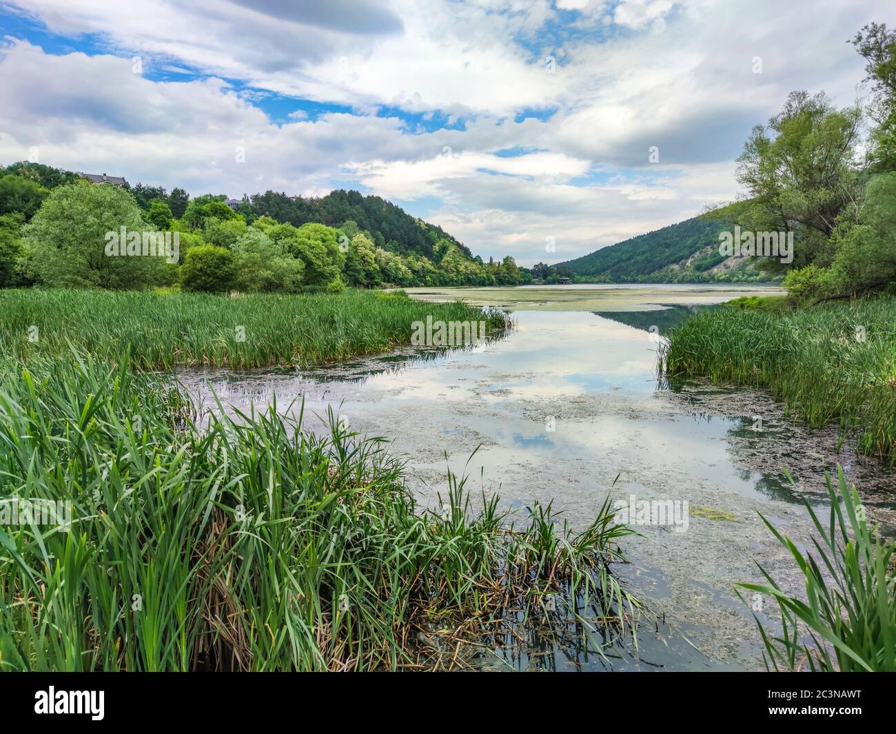 Spring Landscape of Pancharevo lake, Sofia city Region, Bulgaria Stock ...