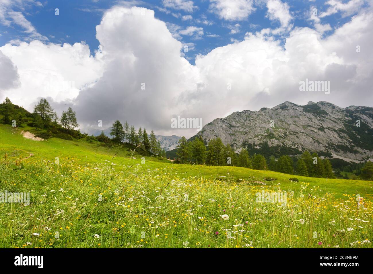Austrian alm hi-res stock photography and images - Alamy