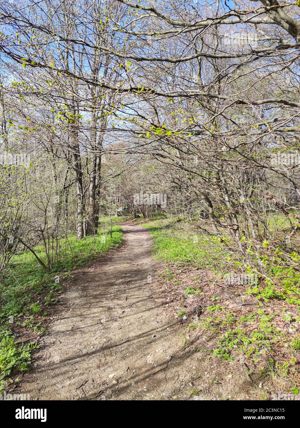 Spring landscape of Vitosha Mountain, Sofia City Region, Bulgaria Stock ...