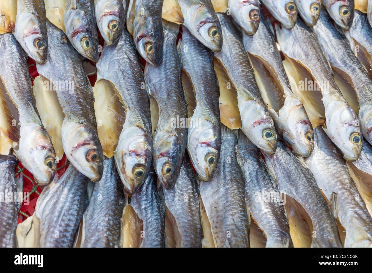 Sun dried salty fish. Stock-fish Stock Photo - Alamy
