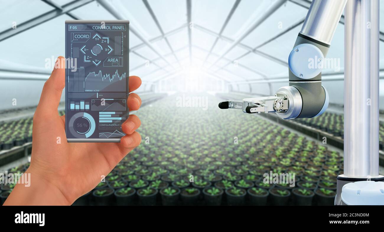 A farmer controls agricultural robot through a smartphone mobile ...