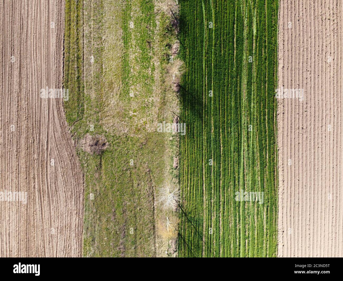Farmland, top view. Plowed soil, green field with wheel marks and trees ...