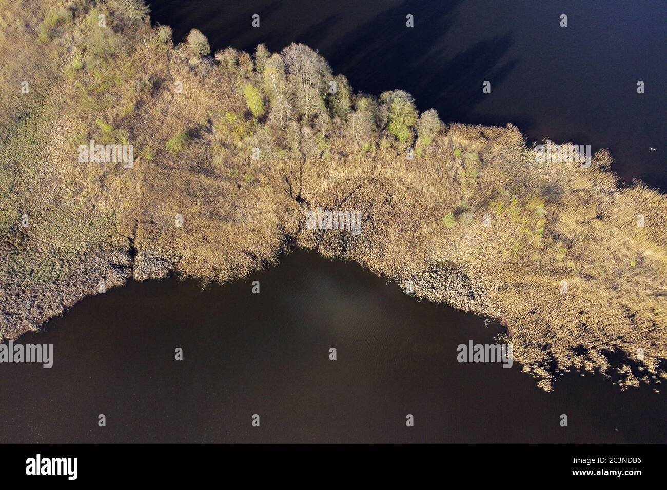 Riverside plants hi-res stock photography and images - Alamy