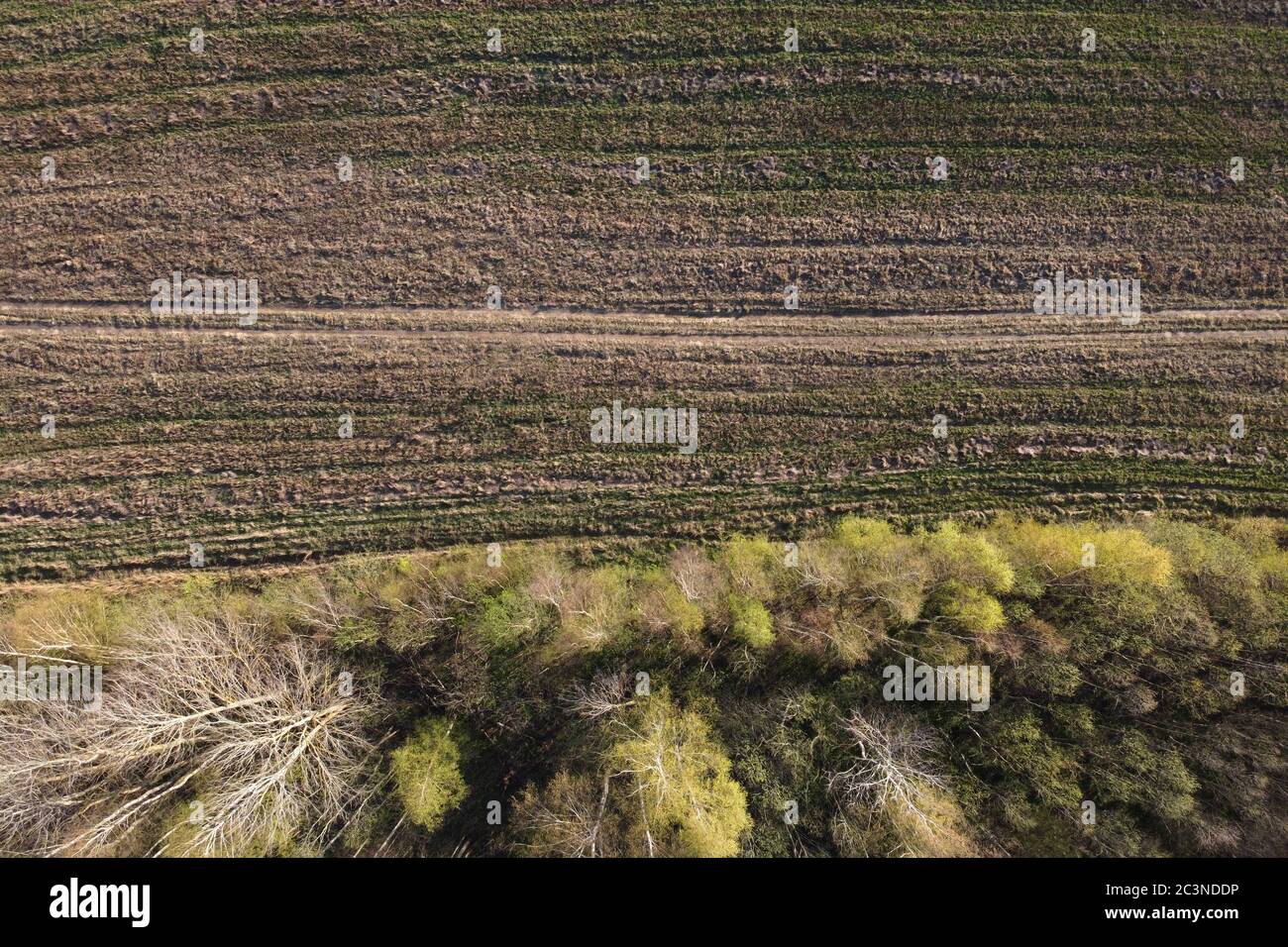 Aerial shot of farmland and forest. Plowed soil, field with rural road ...